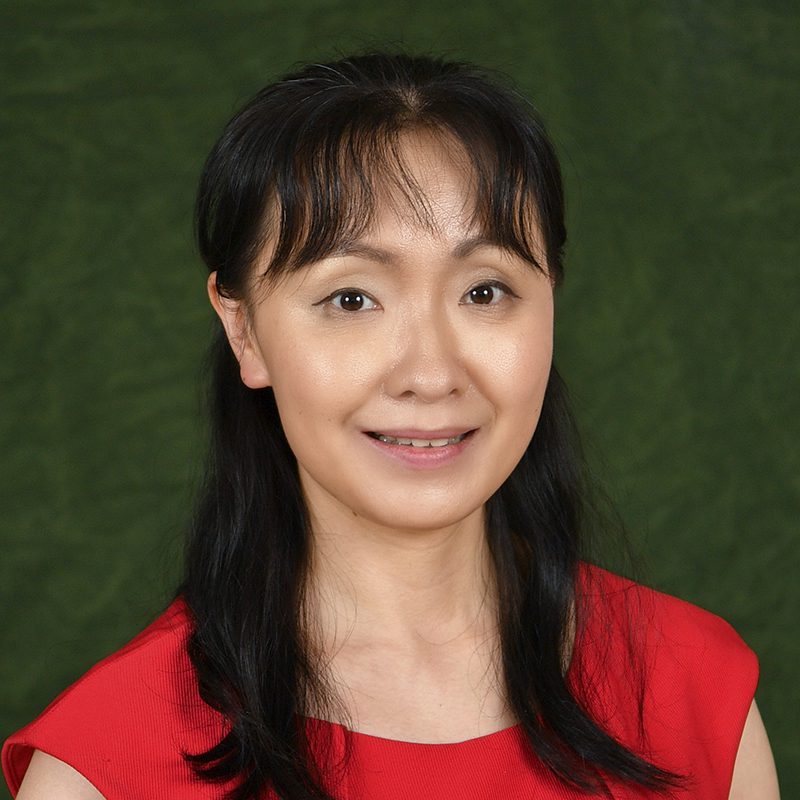 Mei Sun, Ph.D - Civil and Environmental Engineering